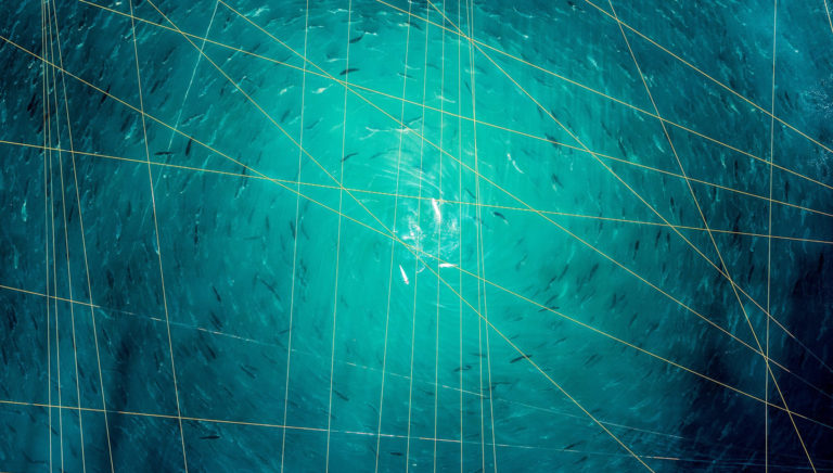 Aqua-Spark - Newtree Impact